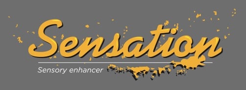 Inventis : bakery solutions for creative breadmaking products - INVENTIS